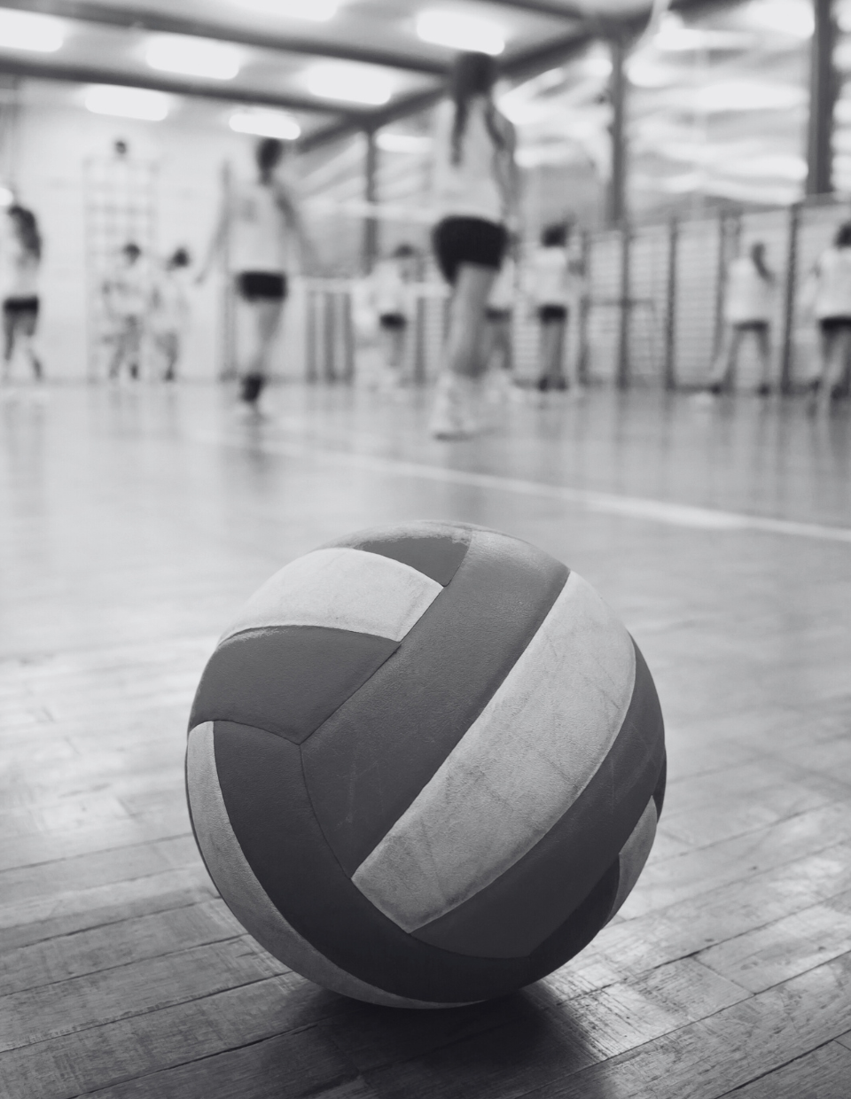 Homepage - Elevate Volleyball Club