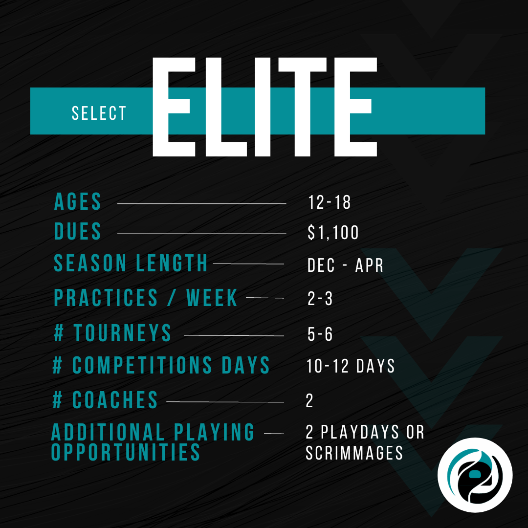 Ways To Play – Elevate Volleyball Club