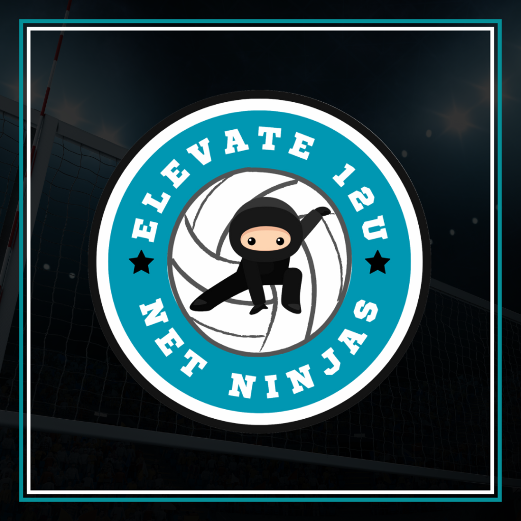 Teams - Elevate Volleyball Club