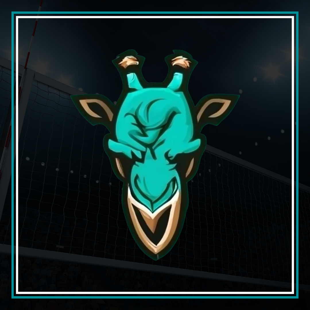 Teams - Elevate Volleyball Club