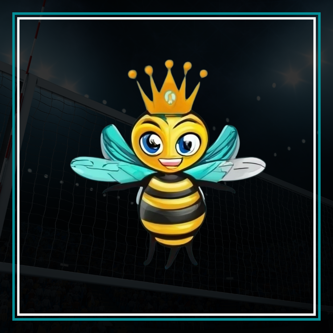 Teams - Elevate Volleyball Club