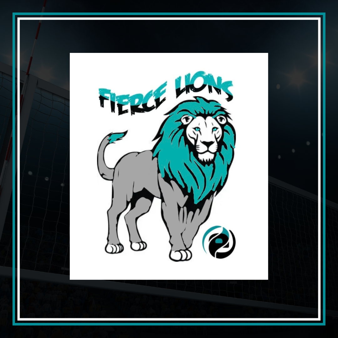 Teams - Elevate Volleyball Club