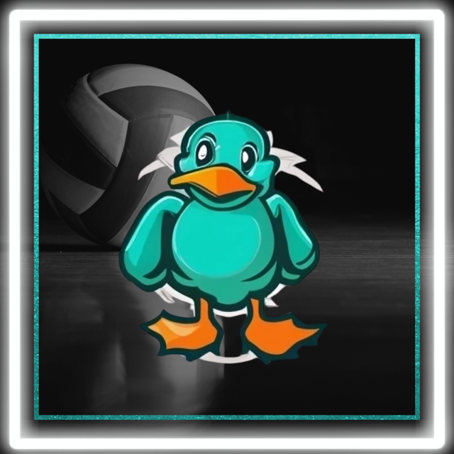 Teams - Elevate Volleyball Club